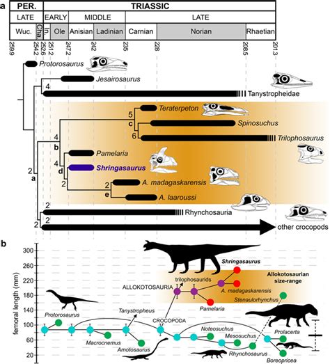 A New Horned And Long Necked Herbivorous Stem Archosaur From The Middle