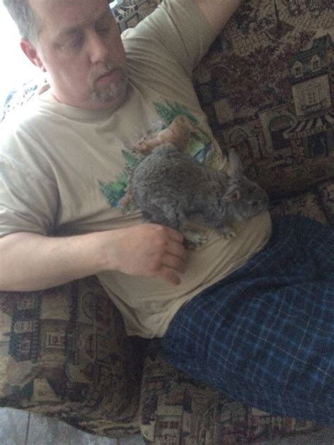 Thumper Sitting On Dad Pets Pet Shop Animals