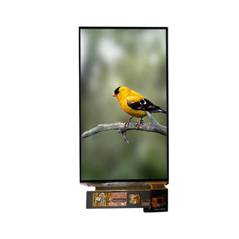 Cheapest7 Inch 10801920 Amoled Lcd Display Module With Mipi Interface