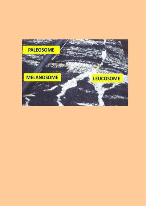 Migmatites Pdf Geology Science
