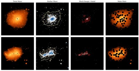 Examples Of Surface Mass Density And Brightness Maps For Giant Galaxy