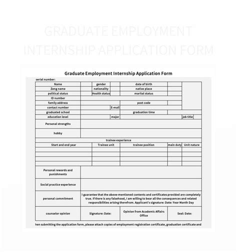 Graduate Employment Internship Application Form Excel Template And