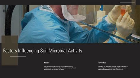 Factors Influencing Soil Microbial Activity Ammonification PPT PowerPoint ST AI SS PPT Template