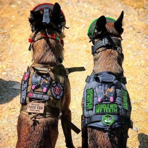 Custom K9 Patches 4incustompatch®