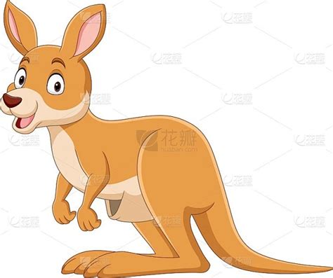 卡通可爱的袋鼠在白色的背景图片其他图片图片素材 花瓣网