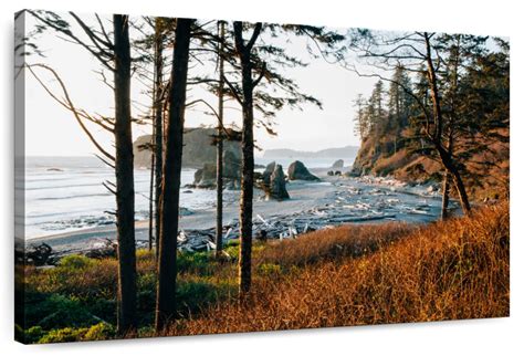 Beachcrest Home™ Ruby Gillard At Dusk Wayfair