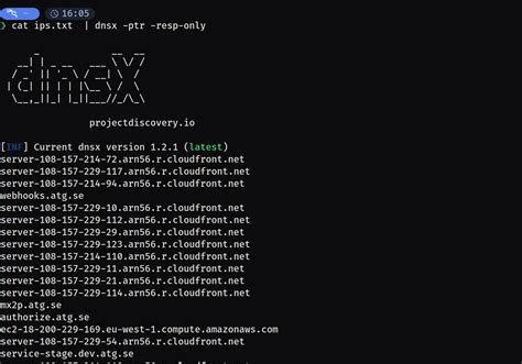 Subdomain Enumeration Expand Attack Surfaces With Active Passive Methods Yeswehack