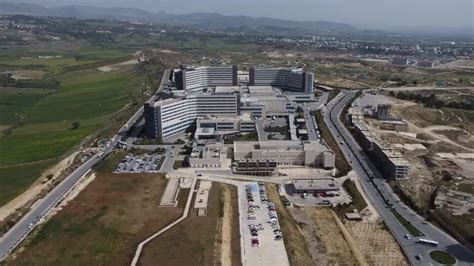 Elsy Luckert Posted On Linkedin