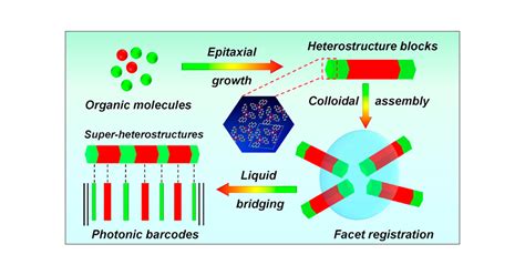 Directional Self Assembly Of Facet Aligned Organic Hierarchical Super Heterostructures For