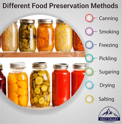 Food Preservation And Packings