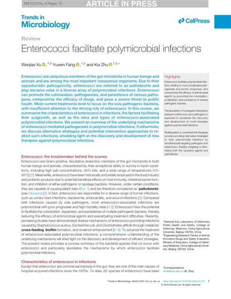 Pdf Enterococci Facilitate Polymicrobial Infections