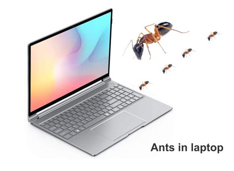 How To Protect My Laptop From Ants At Aiden Jeri Blog