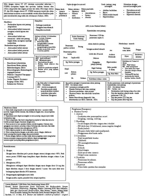 Pathway Stemi Pdf