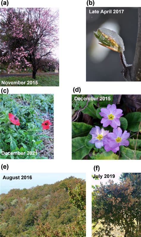 The Microbial Blogosphere The Disruption Of Ecosystem Dynamics Due To
