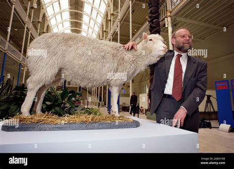 Ian Wilmut And Dolly In 1996 British Embryologist Professor Ian