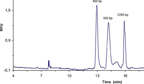 Electropherogram Of Multiplex Pcr Amplified Products Using Abd Download Scientific Diagram