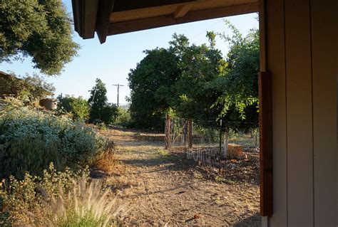 Native Bee Nesting Blocks Greg Alders Yard Posts Southern California Food Gardening