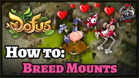 Dofus Guide How To Breed Dragoturkey Mounts Breeding Made Easy