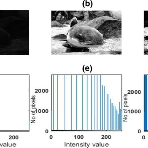 Example Of The Proposed Method A Original Image B Histogram