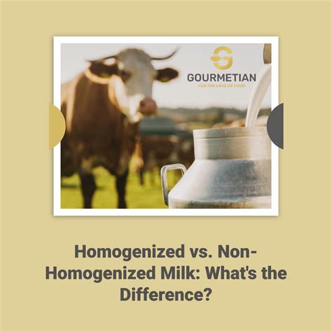 The Milky Way Unveiled Homogenized Vs Non Homogenized Milk—whats