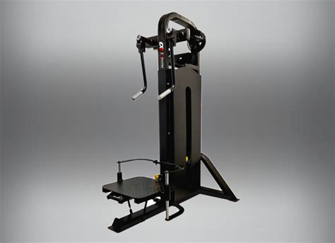 Standing Lateral Raise Extreme Fitness