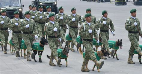 Desfile Militar 16 De Septiembre En Vivo El Heraldo De México