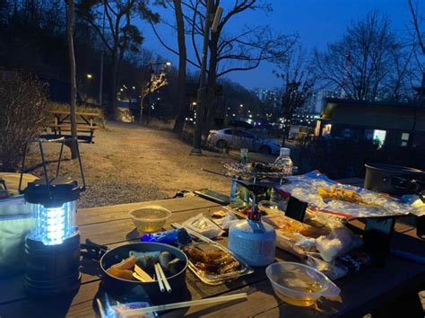 서울 근교 캠핑장 찾아간 곳은 초안산 캠핑장 예약 방법까지~ 네이버 블로그