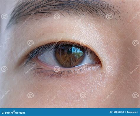 Close Up Of Asian Female`s Eye Texture Of The Dark Brown Eye Is