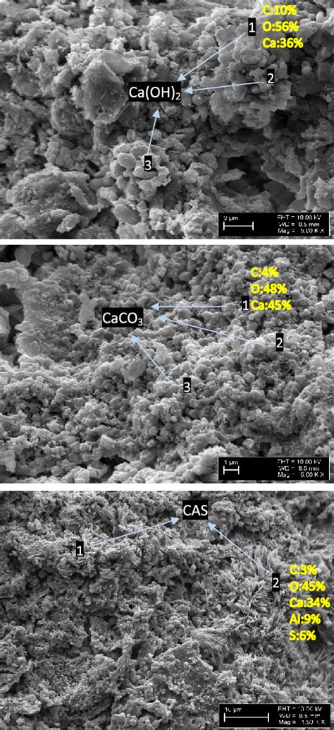 Sem Images And Numbered Positions For Quantitative Eds Analysis Of Osfa Download Scientific