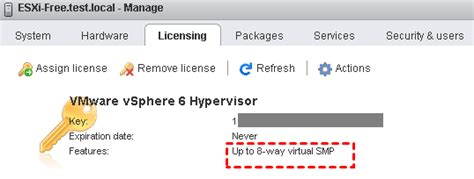 Free Vmware Esxi Limitations And Backup Solutions