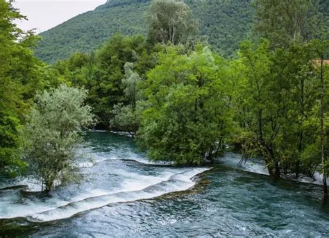 Río Sava Conoce Todo Lo Que Necesita Saber Sobre Este Río