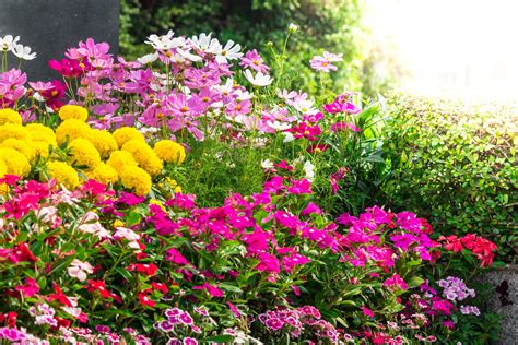 Jardin Fleuri Toute Lannée Nos Conseils De Paysagiste