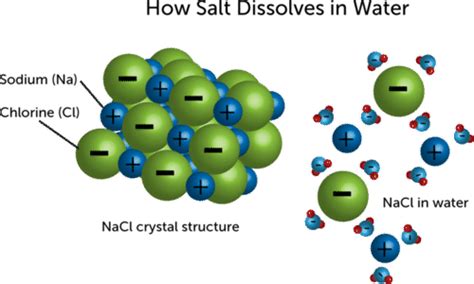 Solute And Solvent Read Physical Science Ck 12 Foundation