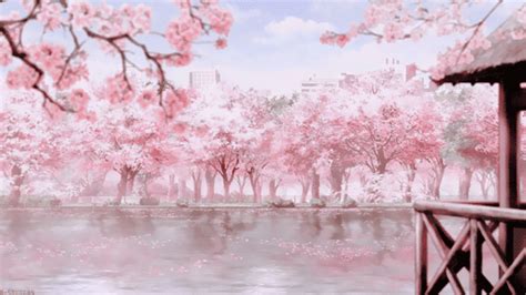 Cherry Blossom  Animated Cherry Tree Blossoms S Wlsl
