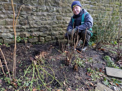 Blog Archives The Storey Gardens