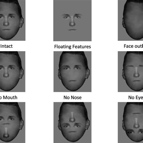 Fixation Location And Variance In The Intact The No Mouth No Nose
