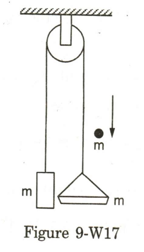 Newtonian Mechanics Why Isn T Momentum Conserved In This Pulley Problem Physics Stack Exchange