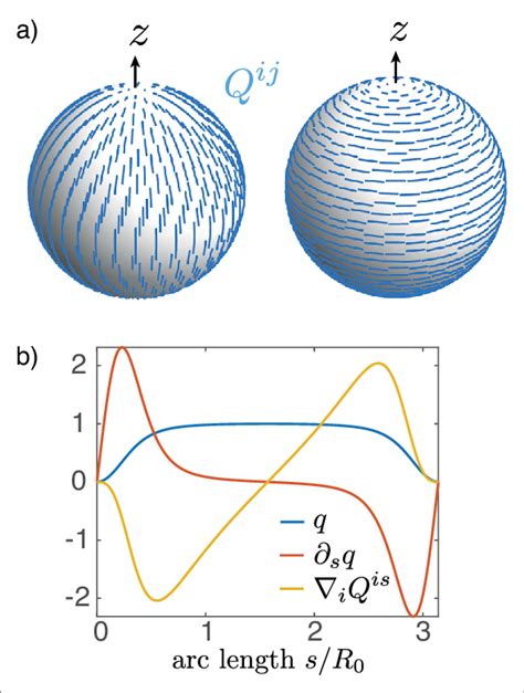 Nematic Order On A Sphere A Two Possible Configurations For The Download Scientific Diagram