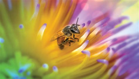 Omnivision Expands 2‑megapixel Image Sensor Supply With New 12″ Wafer Based Sensor For Entry