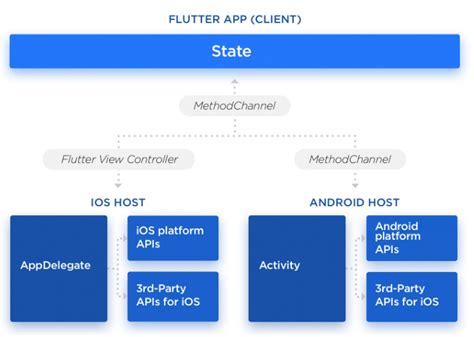 Flutter Apps 5 Reasons Why They Are Popular Among Users