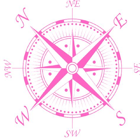 Compass Pink No Bg Ocean Saviours Coming Soon