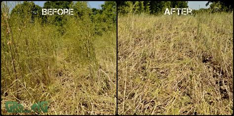 Strategic Food Plot Management • Hunting Advice And Tips For Serious