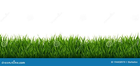 Green Grass Frame And Isolated White Background Stock Vector Illustration Of Grow Panorama