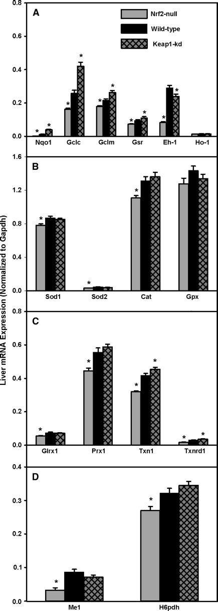 Increased Nrf2 Activation In Livers From Keap1 Knockdown Mice Increases