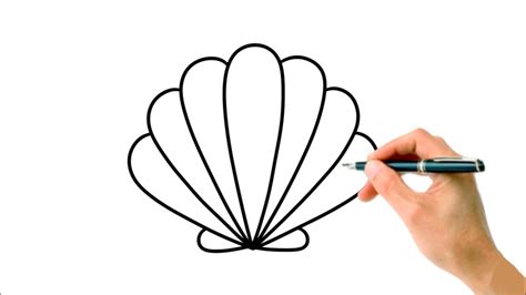 How To Draw A Seashell Art Hub