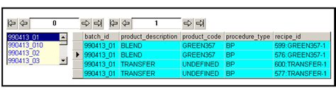 Example 1 Displaying Batch Processes By Batch Id Ifix 61