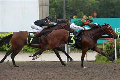 Henrique Goes The Extra Mile For Nemo Sky Racing World Sky Racing World