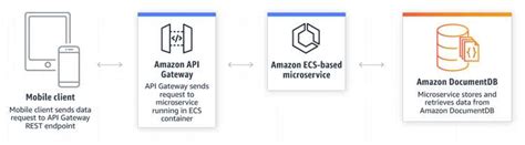 Aws Amazon Documentdb With Mongodb Compatibility Storagenewsletter