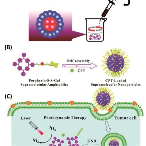 A A Schematic Illustration Of The Synthesis Of Tpp Ga And The