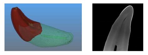 Foundry B2b Portal Exploring Biological Specimens With